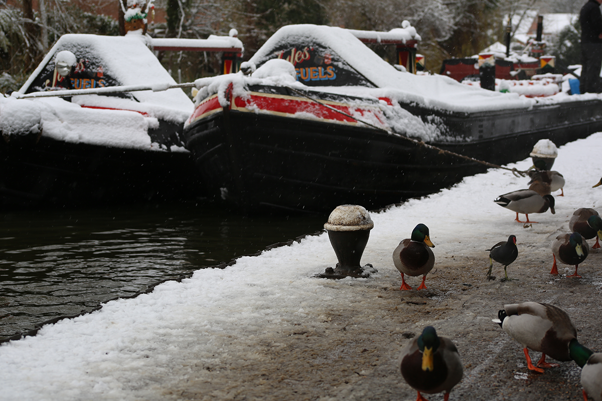Historic canals championed as solutions to UK's modern challenges ...